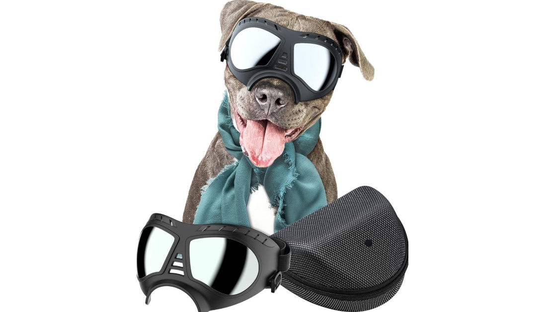 Best Motorcycle Goggles for Dogs - Vet Recommended Eye Protection